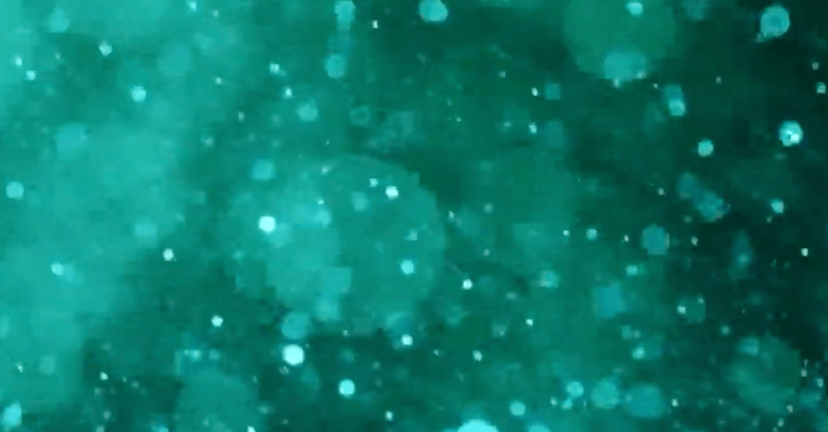 ESR | European Society of Radiology